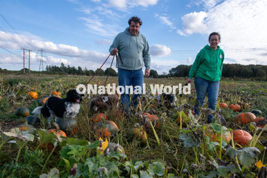 40045127-Oliver and Jen White of Butt Farm near Beverley in the Pumpkin ...