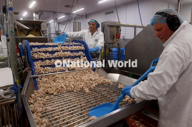 40047286-Whitby Seafoods, Business Park, Fairfield Way, Whitby. Scampi ...