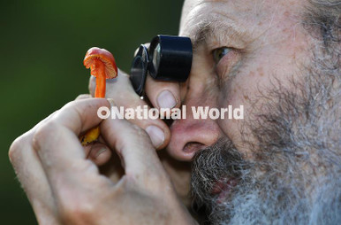 40052032-Steve Hindle who has spearheaded a National Trust project to ...