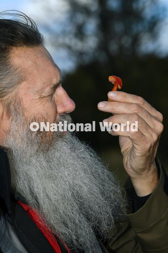40052030-Steve Hindle who has spearheaded a National Trust project to ...