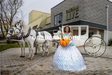 40055275-Cinderella was on hand to promote the upcoming Christmas panto ...