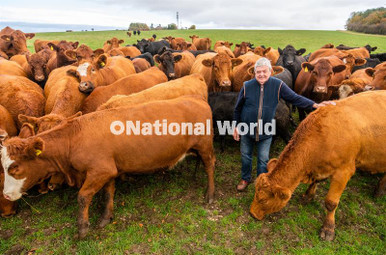 40055330-CountryPost - Farmer Derek Watson, of West Farm, West Knapton ...