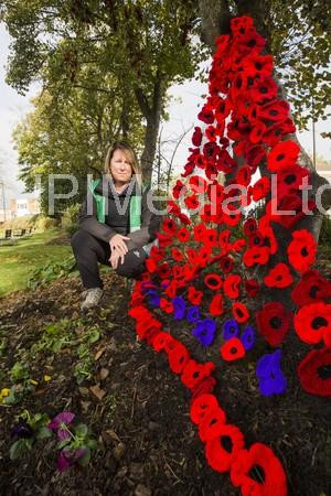39235329-Cleckheaton Memorial Park. Kimberly Parry from Cleckheaton in ...