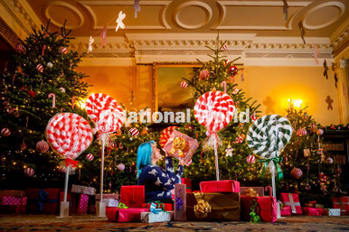 40070650-**EMBARGOED FOR YORKSHIRE POST ONLY** A fairy tale Christmas ...