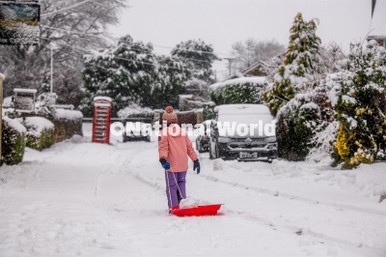 40084447-Freya Hardisty, aged 11, of Stutton near Tadcaster, North ...