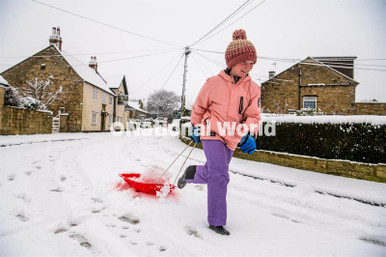 40084483-Freya Hardisty, aged 11, of Stutton near Tadcaster, North ...