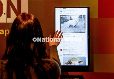 40086160-The "absolute unit" meme created by staff at the Museum of ...