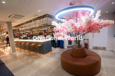 40088290-Opening of new all you can eat buffet restaurant Umami World ...