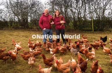 40090447-Chris Plume with his wife Sarah with their free range hens at ...