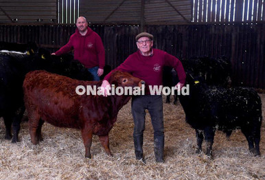 40090446-Chris Plume with his dad Richard and some of the dexters at ...