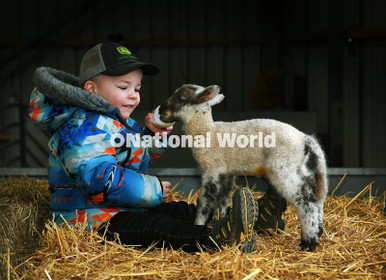 40099936-**EMBARGOED YORKSHIRE POST ONLY* * Two year old Wilf Jones ...