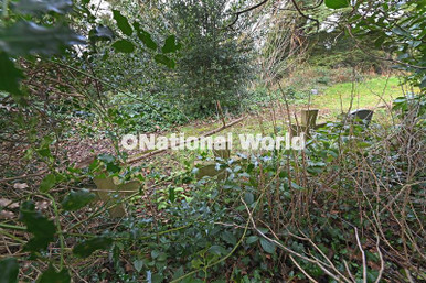 40103783-CANNOCK COPYRIGHT TIM STURGESS NATIONAL WORLD 26/02/2025 ...