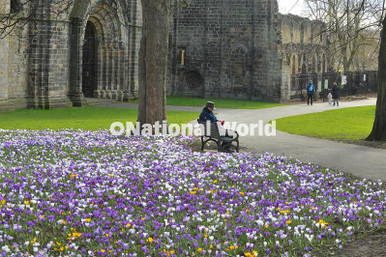 40104710-Spring 2025 First day of meteorological spring - 1st March -as ...