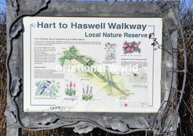 40117708-The Hart to Haswell walkway and Rail Crossing Ocean Road ...