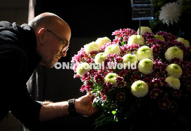 40313955-**Embargoed for the Yorkshire Post ONLY** Ben Barratt arranges ...
