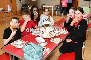 40315053-23-04-2025. Picture Michael Gillen. STENHOUSEMUIR. St ...