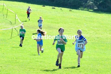 40321004-30-04-2025. Picture Michael Gillen. FALKIRK. Callendar Park ...