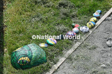 40323798-10-05-2025. Picture Michael Gillen. LIMERIGG - Limerigg ...