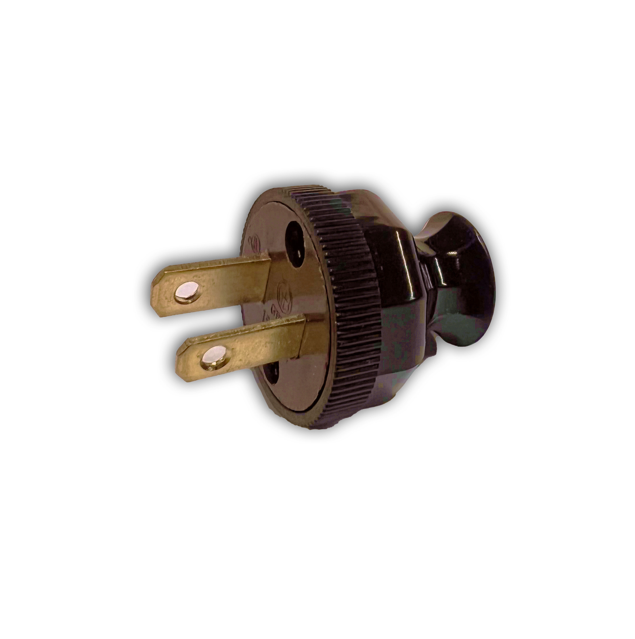 2-Prong Electrical Plug Brown