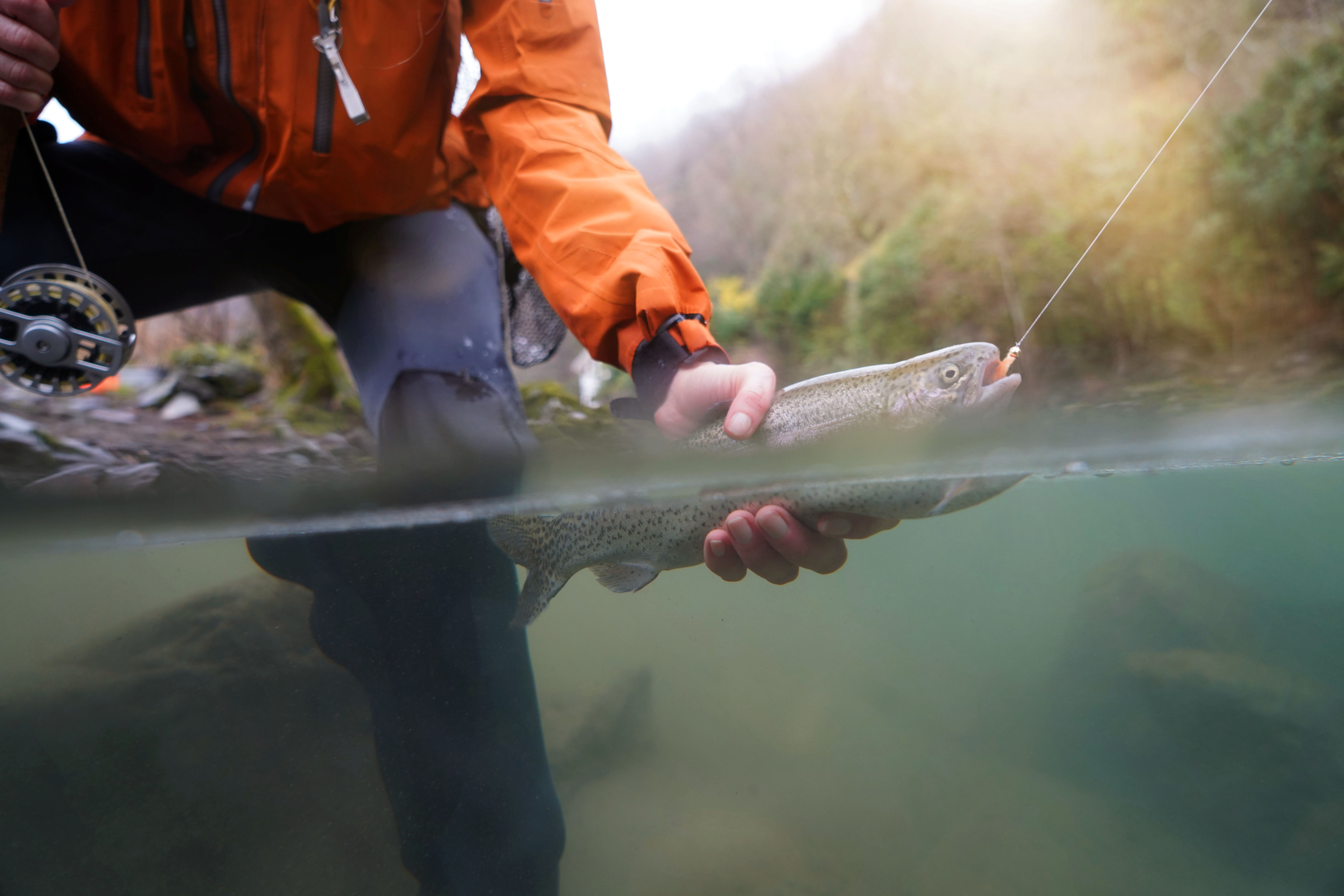 Top 5 Late Winter and Early Spring Activities for Outdoor Enthusiasts ...