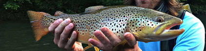 Pennsylvania Trout Stocking Opportunities and Tactics - Freedom Outfitters