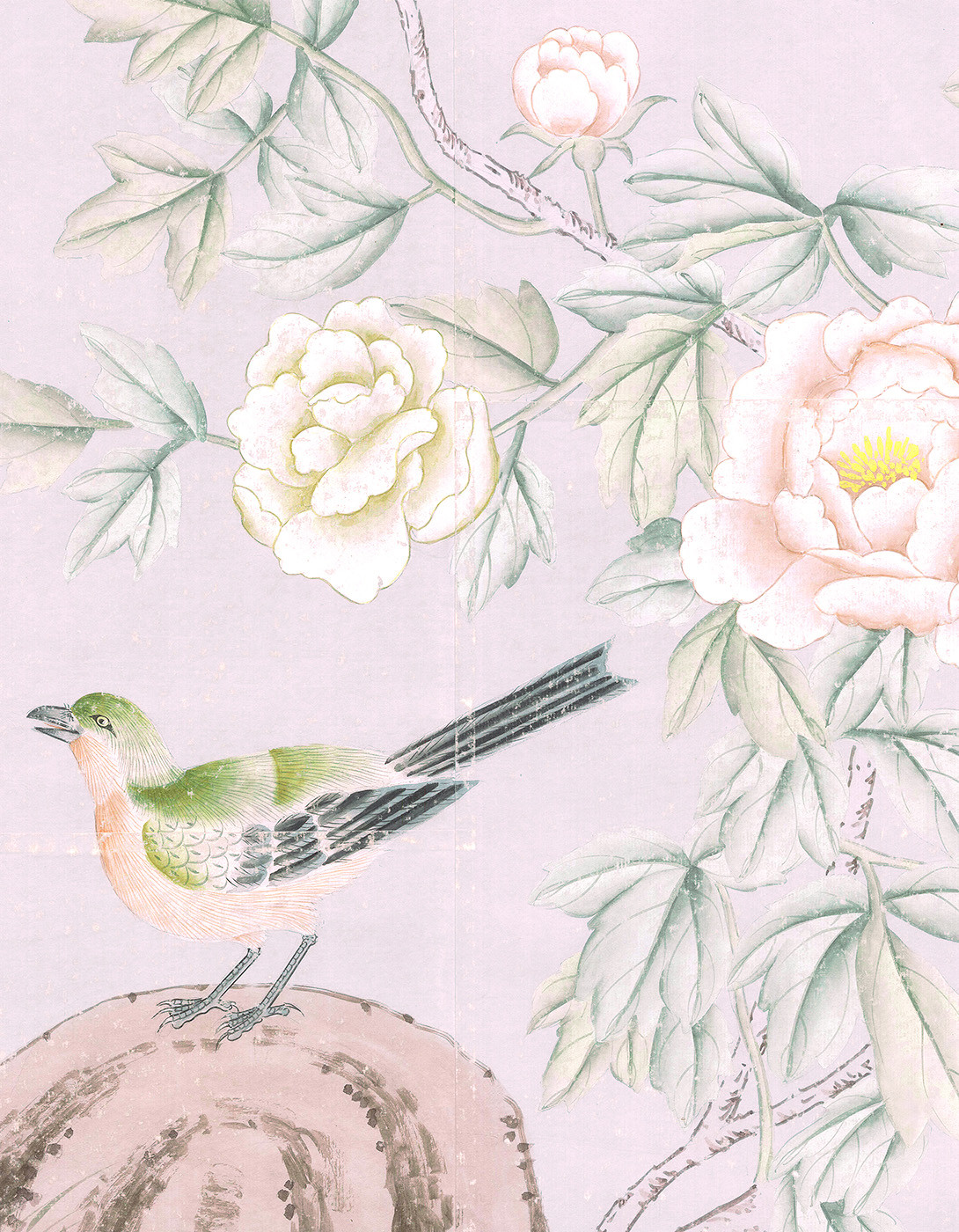 Belva by Paul Montgomery