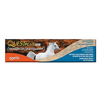 Quest Plus | LVPerformance.com