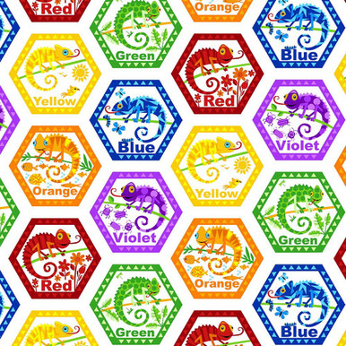 Cheerful and Colorful - The Iowa Quilt Block