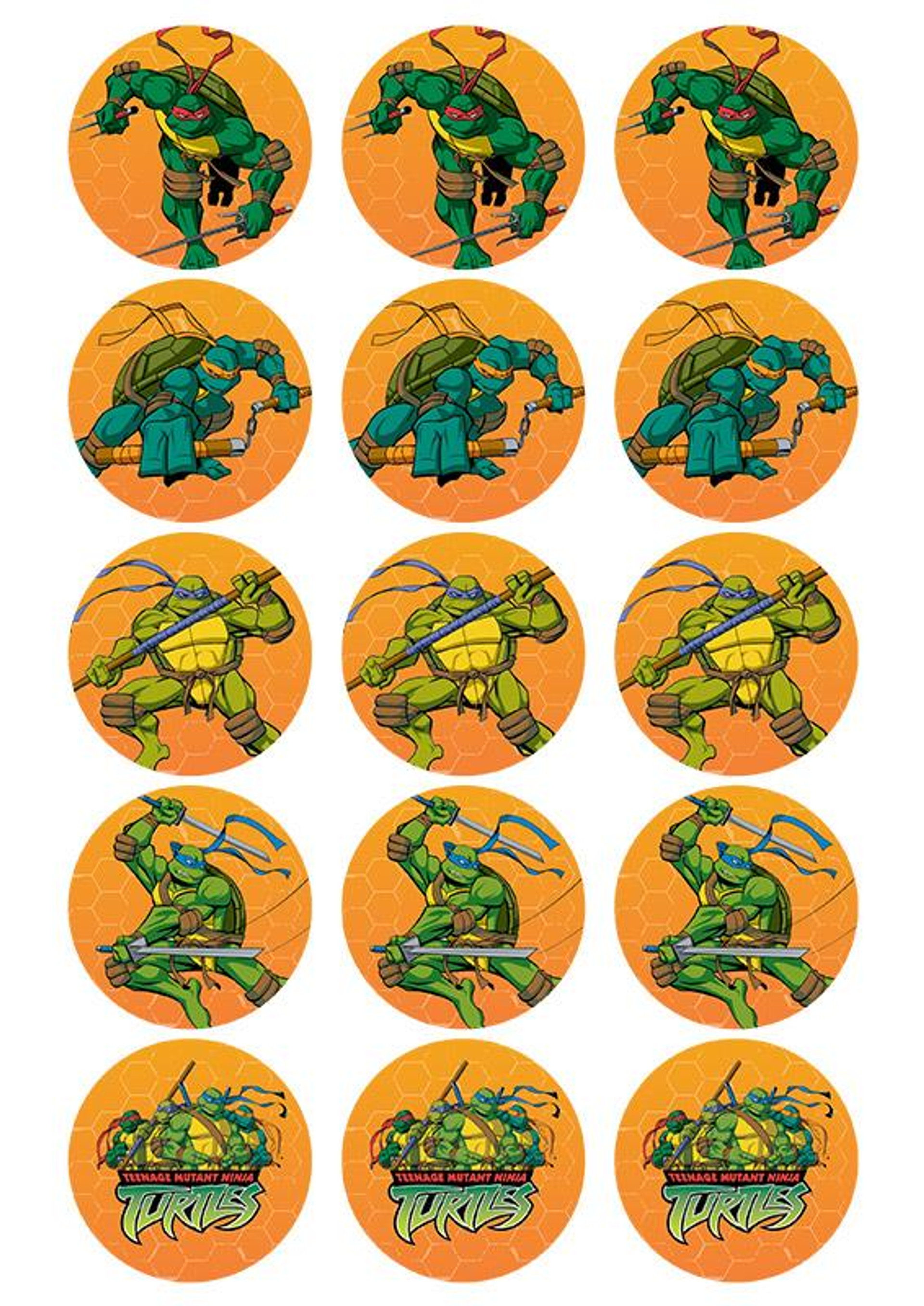 Ninja Turtles Standard Licensed Cupcake Toppers Edible Image Printing