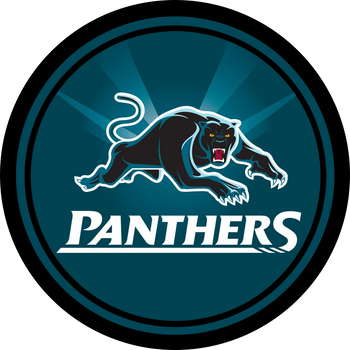 Panthers 6inch Round - Edible Image Printing
