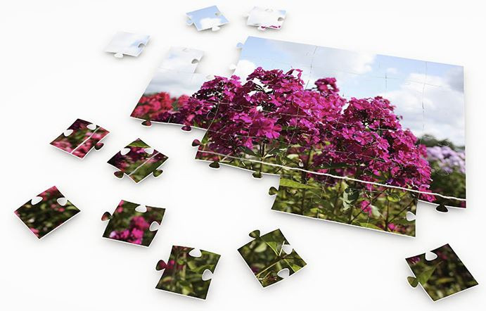 Visual Memory Aids Enhance Care for Elderly with Dementia Communication ...