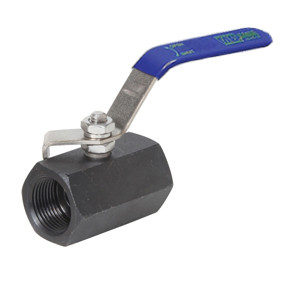 Hex Body Full Port Carbon Steel Valve | Compressed Air Parts