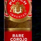 Punch Rare Corojo | Cuenca Cigars of Hollywood