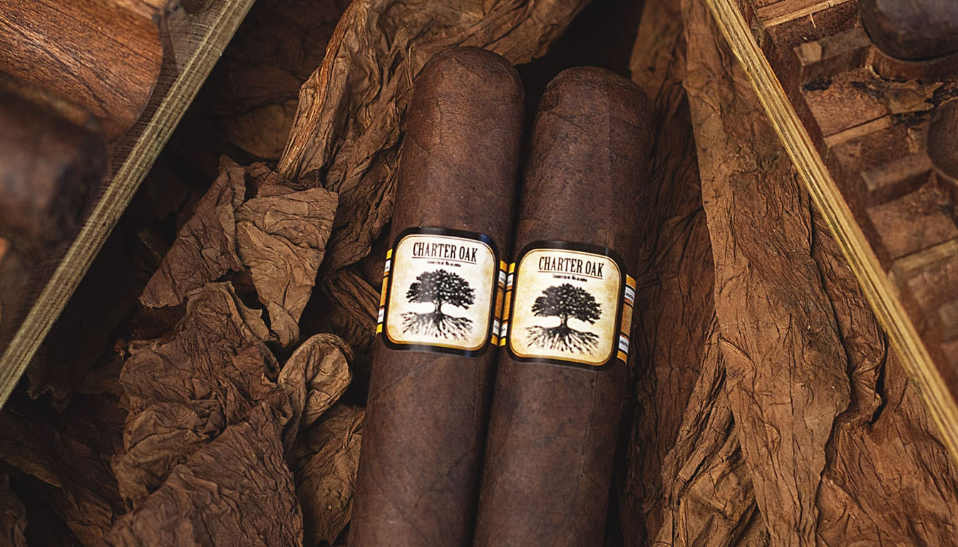 Foundation Charter Oak Cigars | Core Line