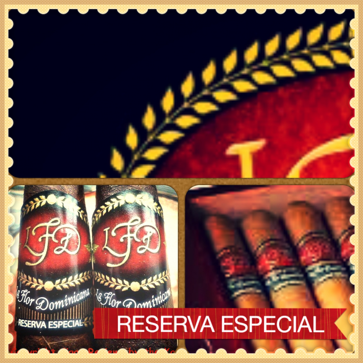 La Flor Dominicana Reserva Especial Cigars | Everyday LFD Blend