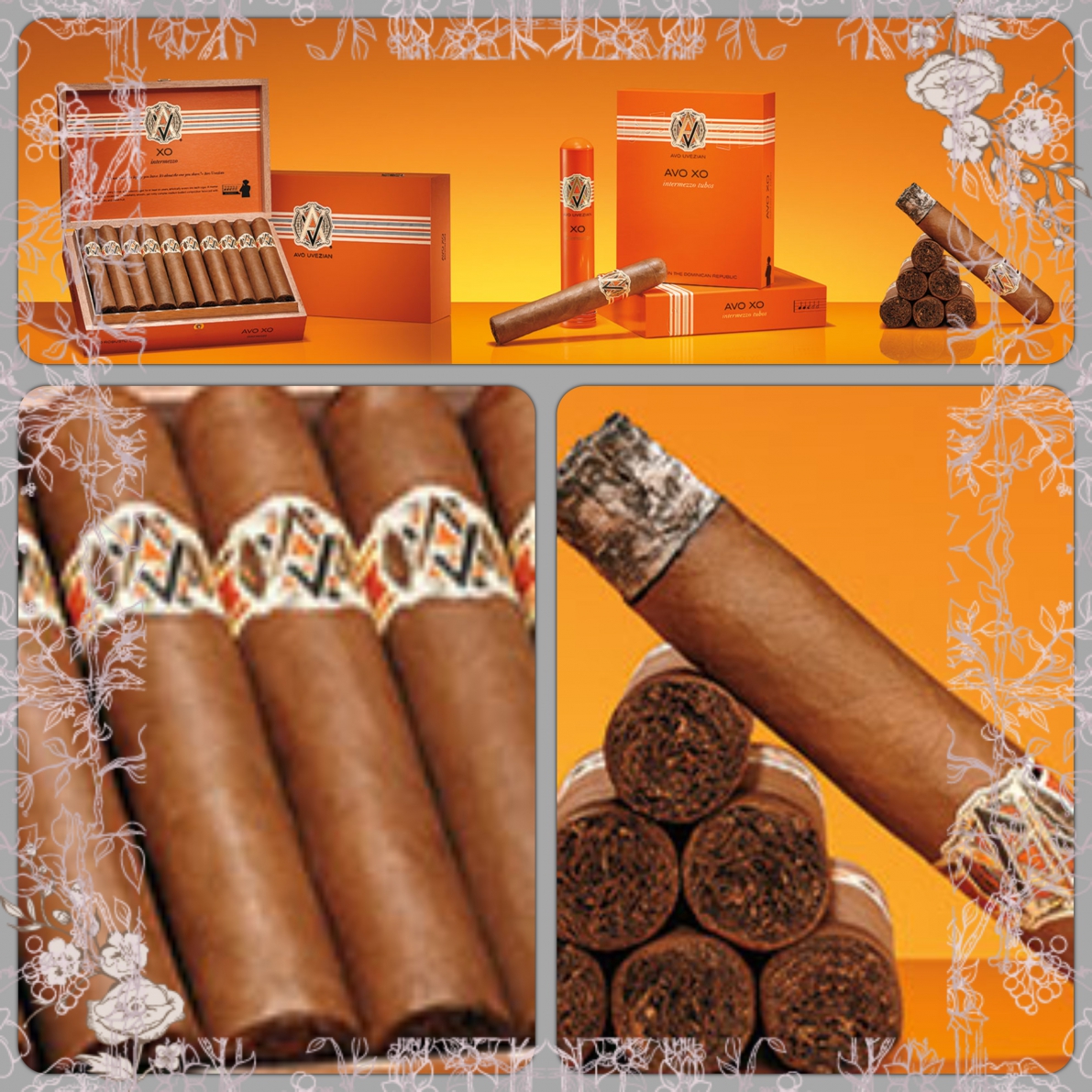 Experience the Unique and Smooth Masterpiece of AVO XO Cigars