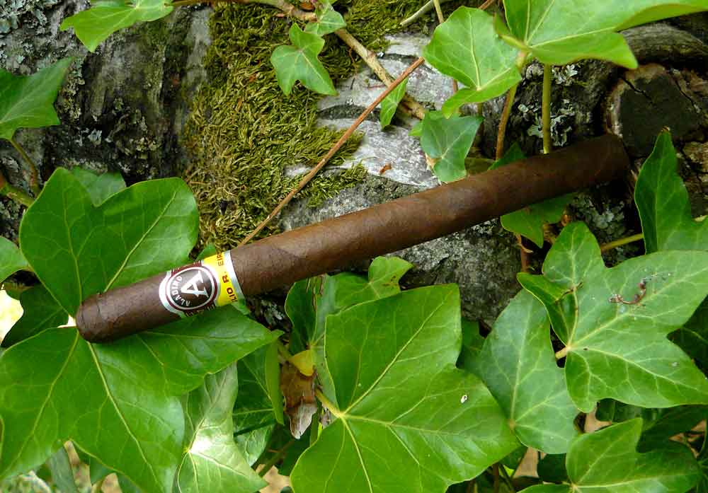 Aladino Maduro: Cigar Review by Jeff Oda - Cuenca Cigars, Inc