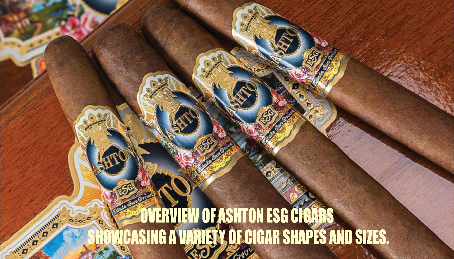 Finding Your Perfect Ashton ESG Cigar: A Helpful Buying Guide - Cuenca ...