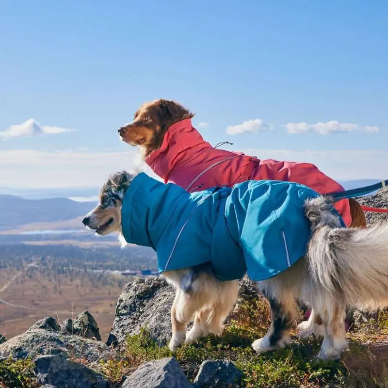 Hurtta Active Gear for Dogs from Finland | K9 Active