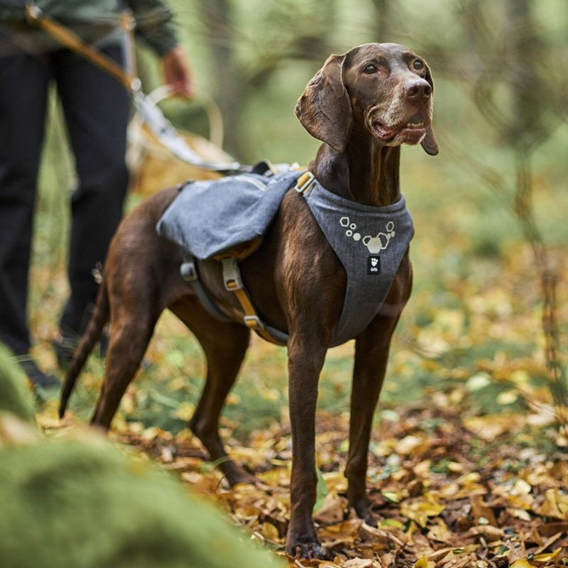 Hurtta Active Gear for Dogs from Finland | K9 Active