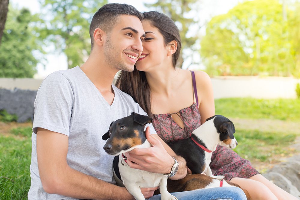 Looking for love? Ditch the dating apps and get a dog - K9 Active