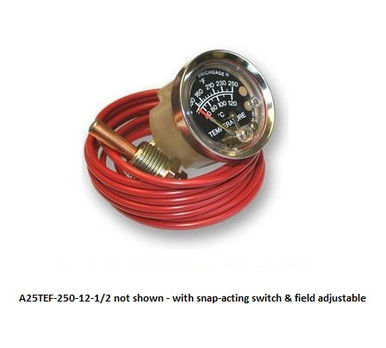 Murphy Mechanical Temperature Swichgage 130-250F with 12 Ft Capillary ...