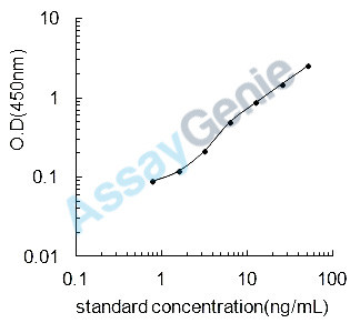Rat Iron-responsive element-binding protein 2 (Ireb2) ELISA Kit (RTEB0906)