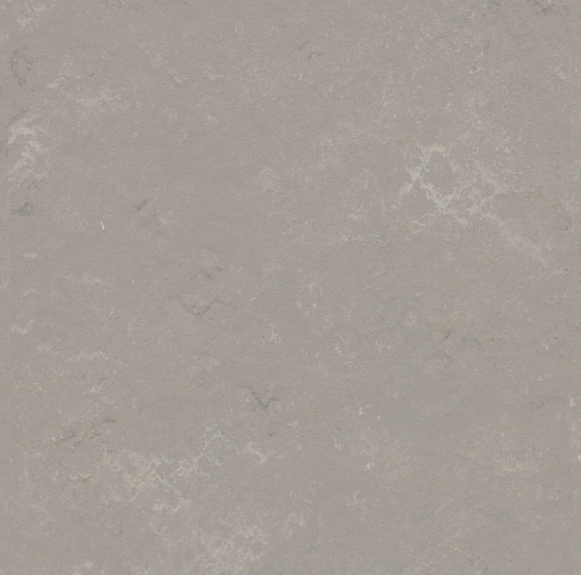 Forbo Marmoleum Modular t3718 Pluto 50cm x 25cm | Linoleum tiles