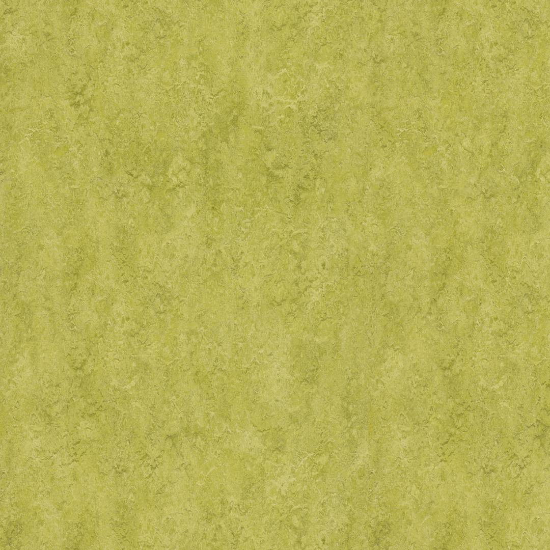 Forbo Marmoleum Real | Chartreuse 3224 | Linoleum Flooring