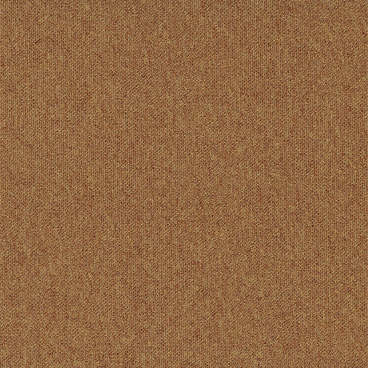 Modulyss Alpha 215 Carpet Tiles | Floormart