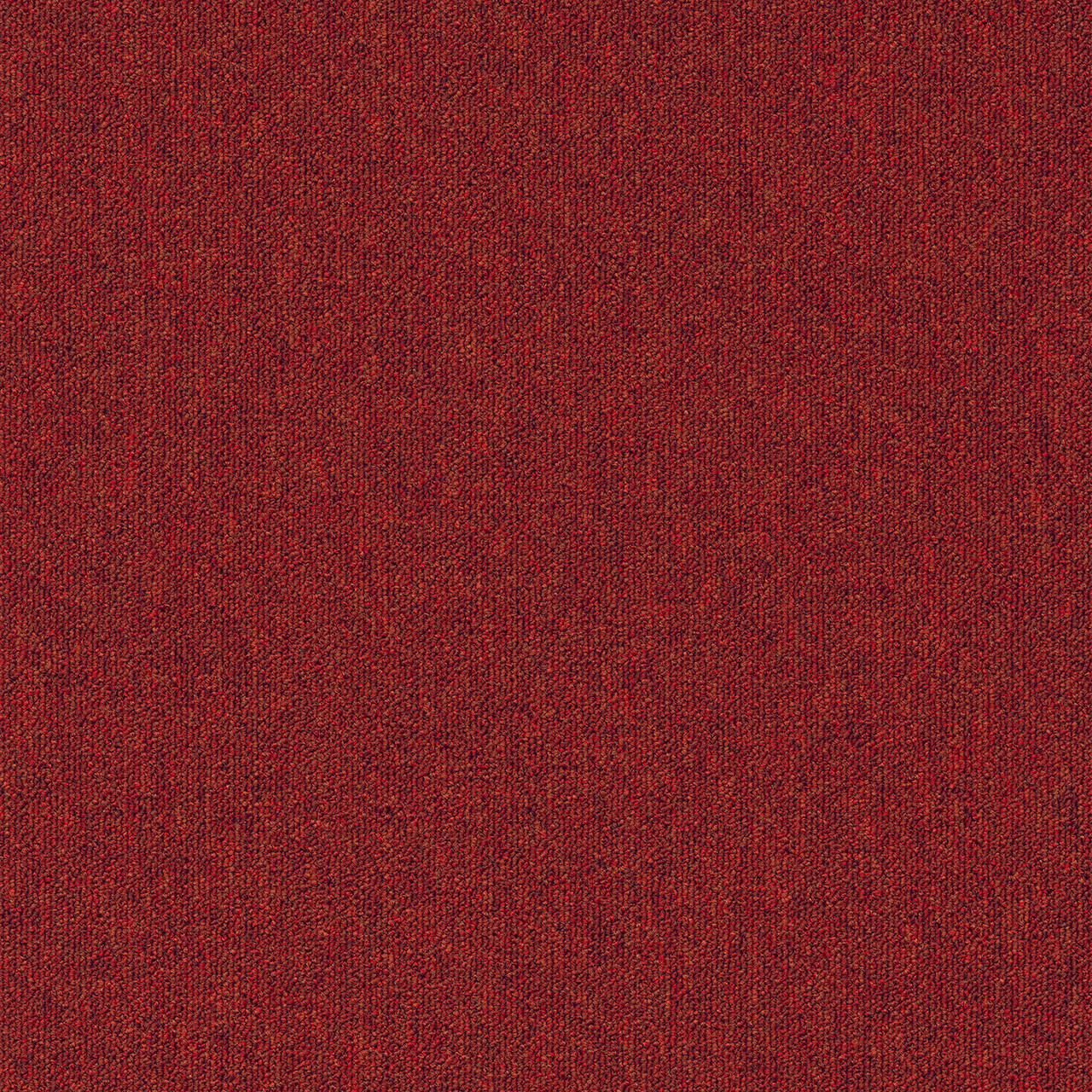 Modulyss Alpha 332 Carpet Tiles | Floormart