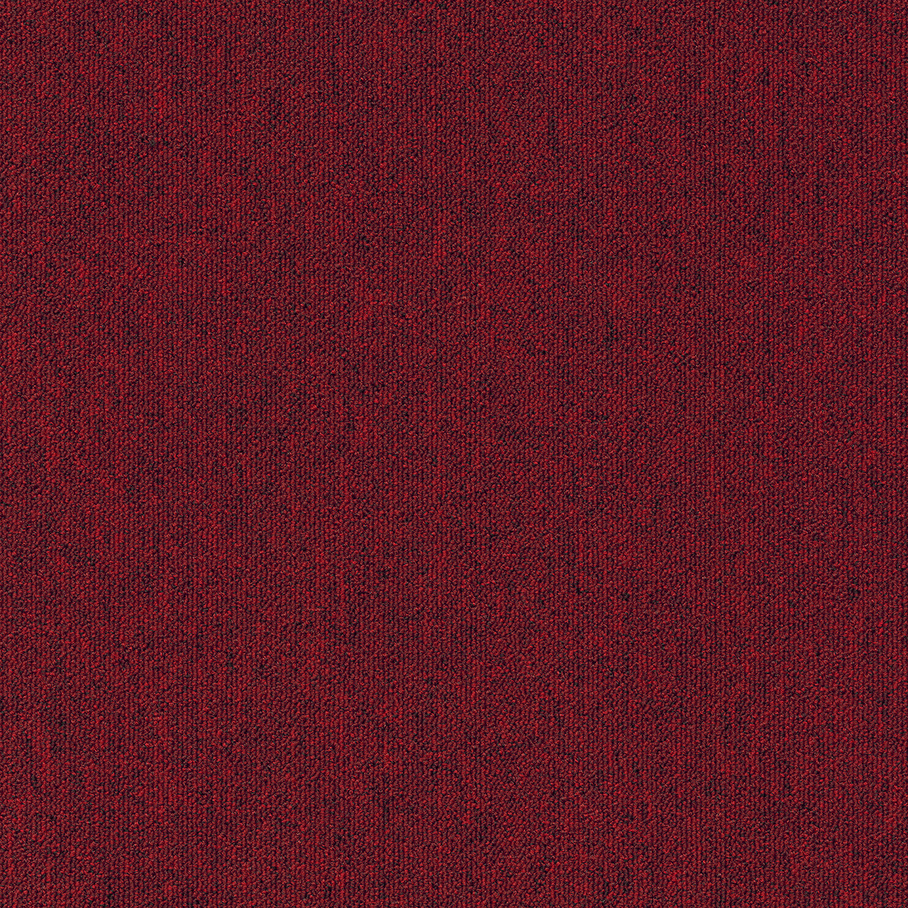 Modulyss Alpha 340 Carpet Tiles | Floormart