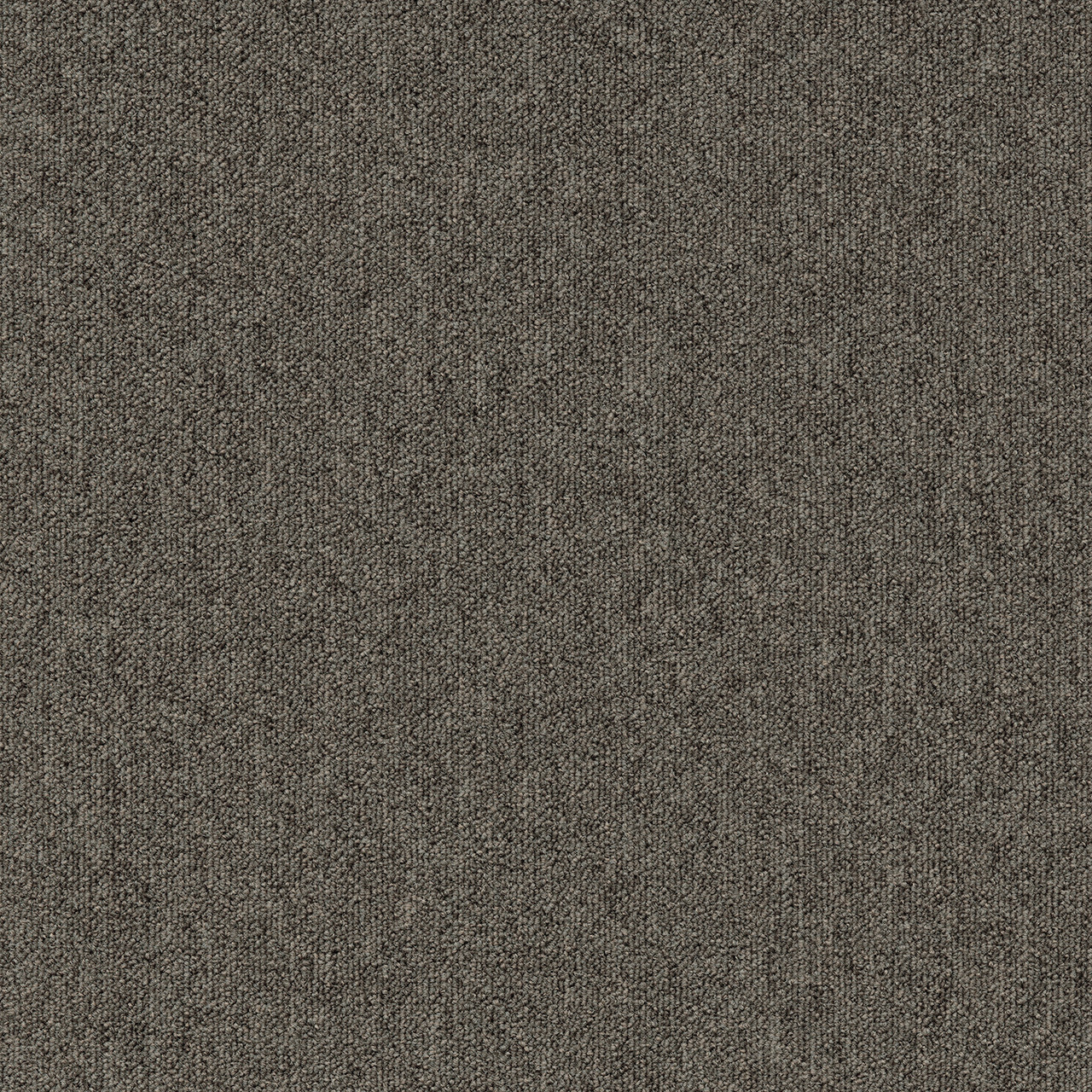 Modulyss Alpha 847 Carpet Tiles | Floormart