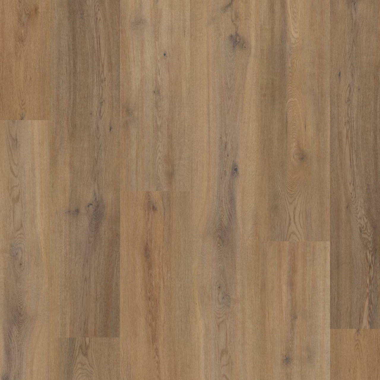 Polyflor Colonia Story Oak 4389 | Polyflor LVT
